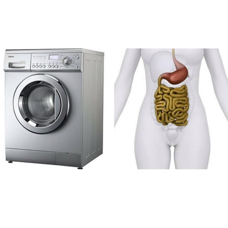 Why Your Gut is like a Washing Machine : Tips for a Healthy Gut...